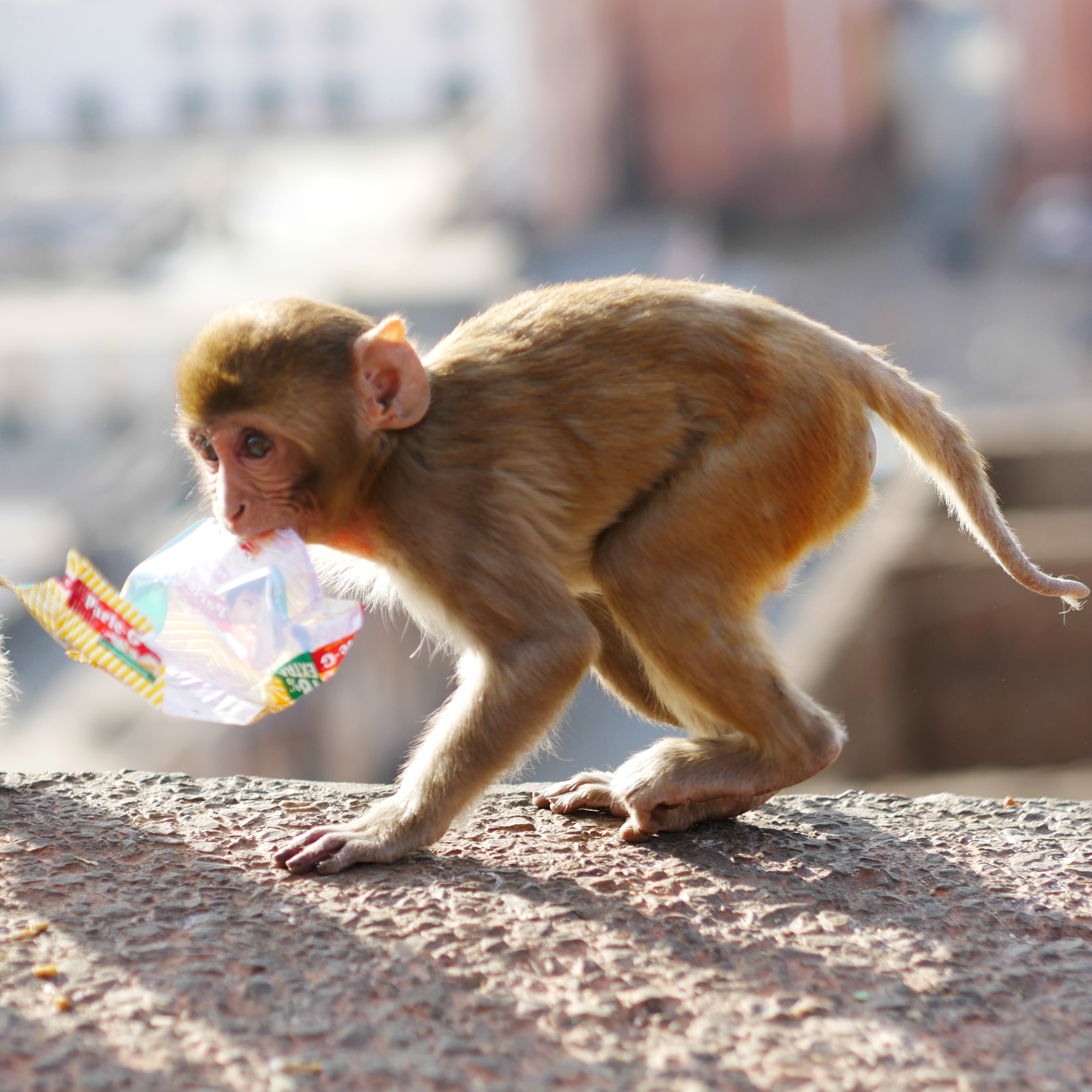 Cheeky!! 😎 – David Redpath